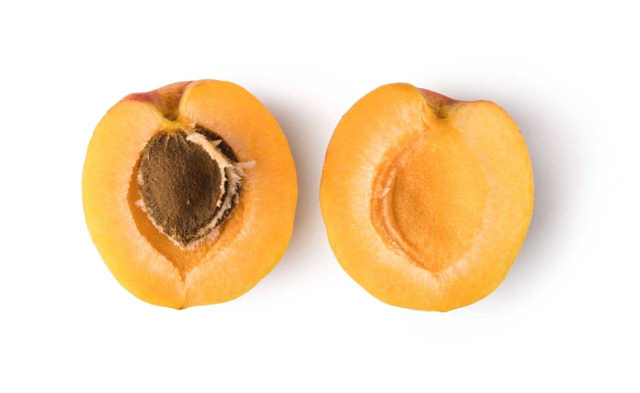 Apricot Kernels Producer & Exporter | Premium Apricot Kernels