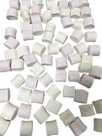 Freeze Dried Fruits and Vegetables | Premium Quality Supply